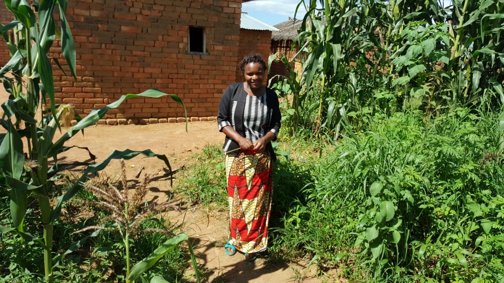 Reasons Why We Should Care About the Environment - ERA ENVIRONNEMENT